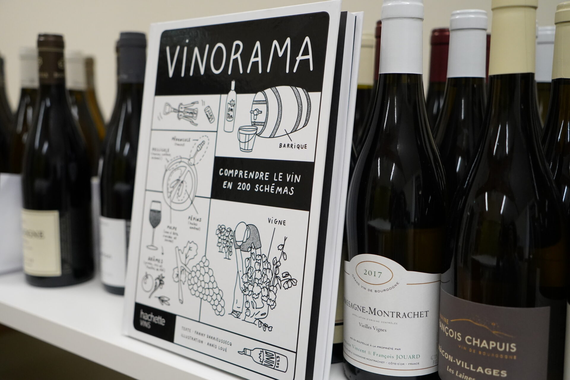 VINORAMA : un livre pour comprendre le vin - WISP